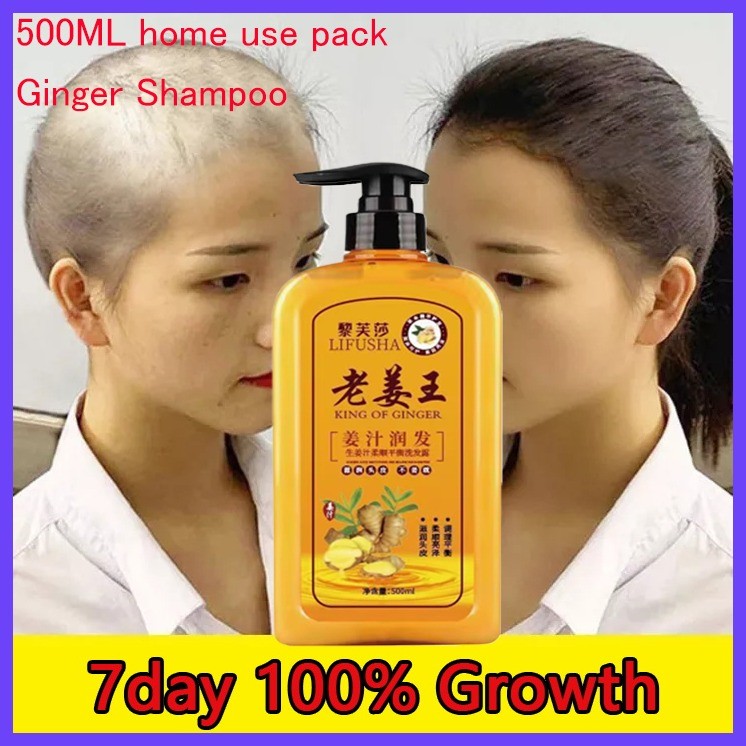 ⚖ 500ML Professional Ginger Shampoo Fast Regrowth Hair Thick Shampoo ...