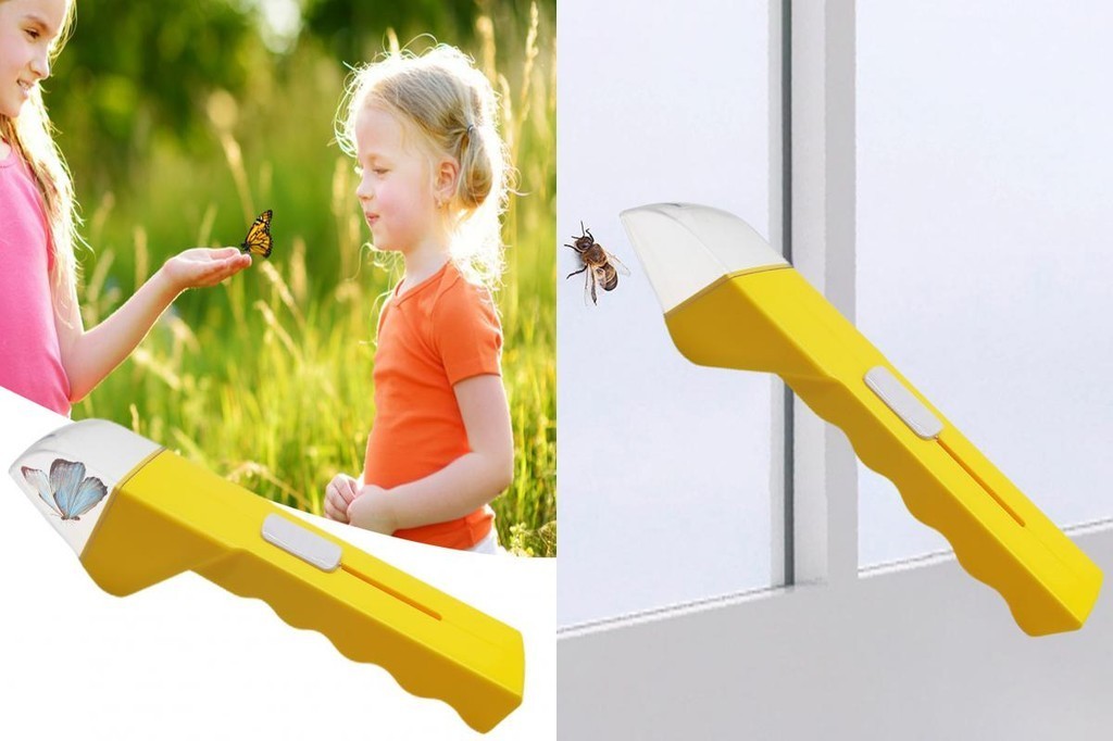 Critter Catcher Tool Handheld Critter Viewer Portable Critter Viewer ...