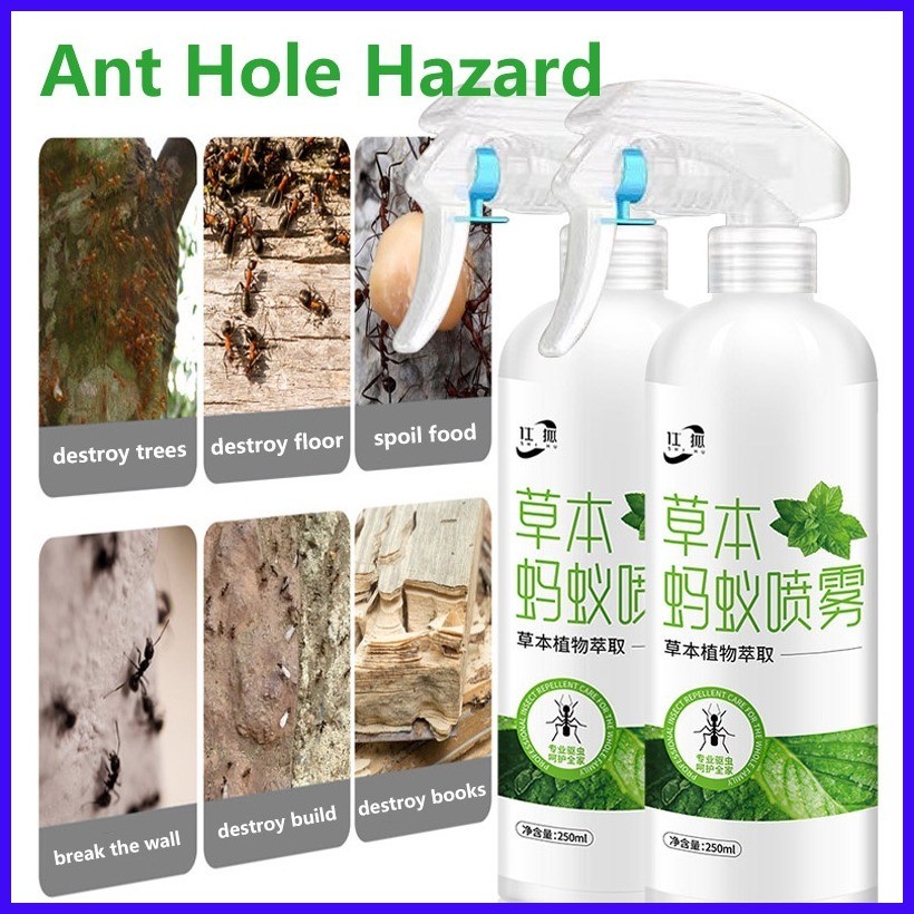 ☸ ants spray killer (ant killer) 250ml insecticide termite killer pest ...