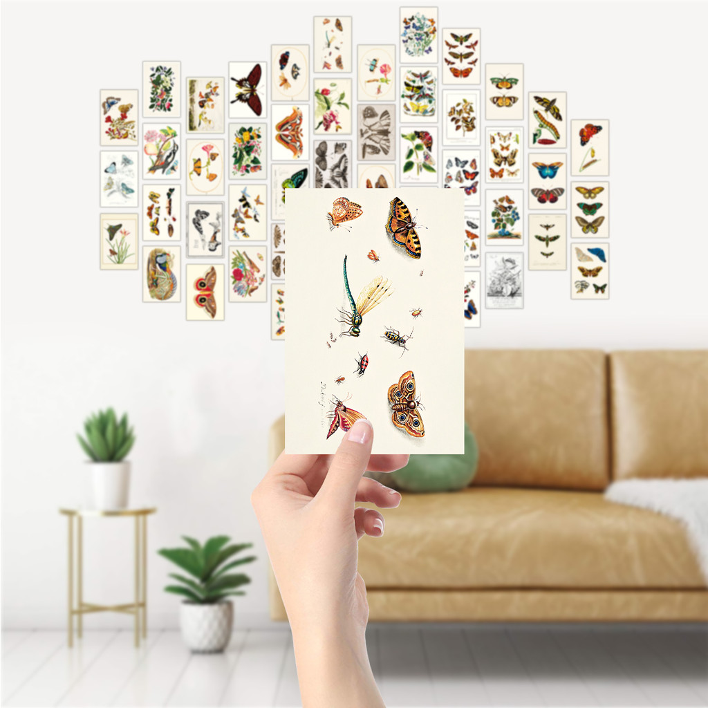 50Pcs Vintage Botanical Aesthetic Wall Collage Kit & Fauna Insects ...