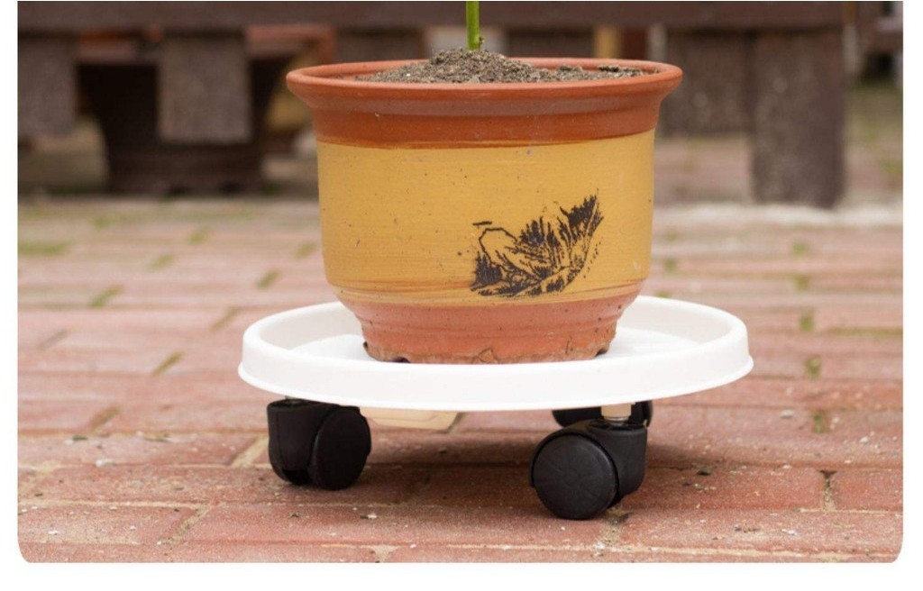 Growth Magic Universal Wheel Flower Pot Base With Roller Plastic Flower ...