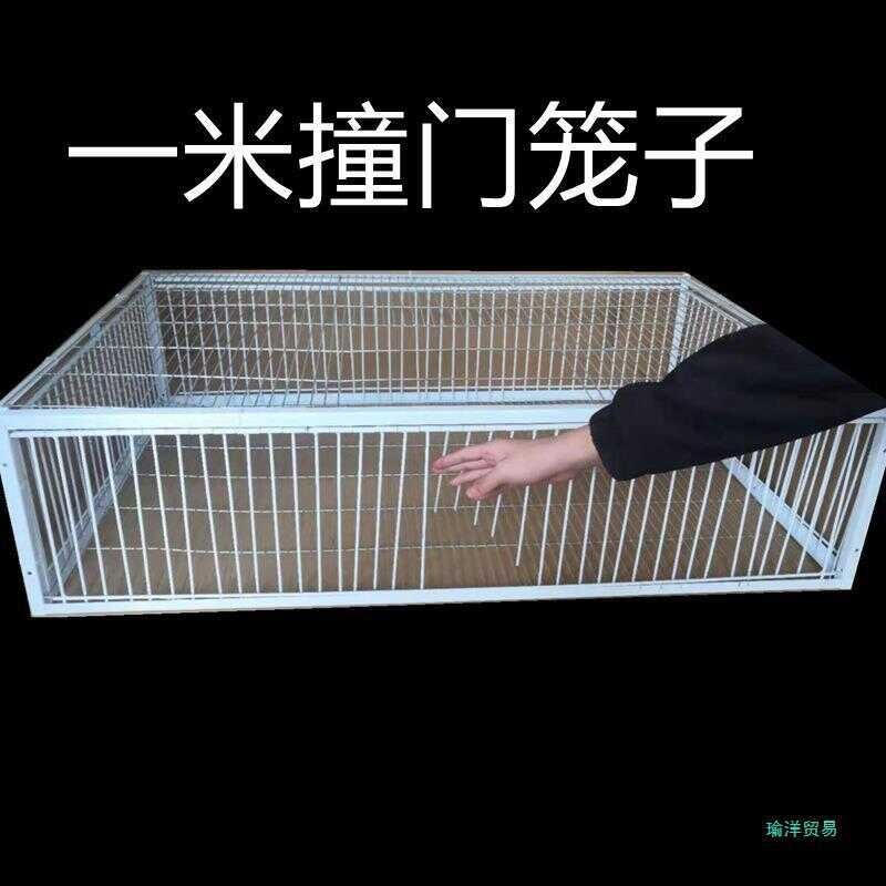 Hhxm168 Cannot Enter Or Exit The Pigeon Cage, Automatic Chicken ...