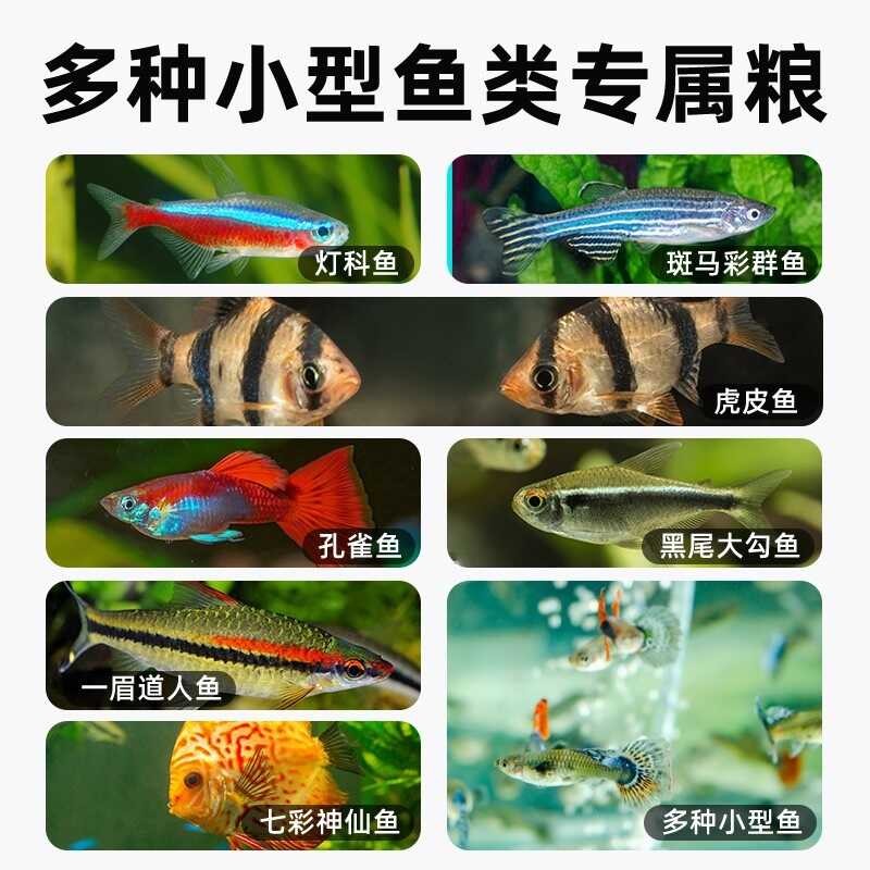 Premium Yee Trcal Small Pellet Fish Food For Zebrafish, Guppy, Neon ...