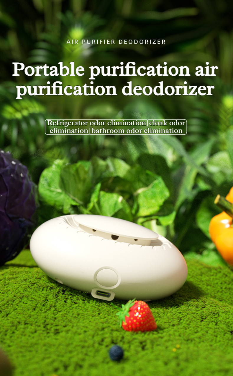 Portable Freshener Deodorizer Frost and cold resistant design Active ...