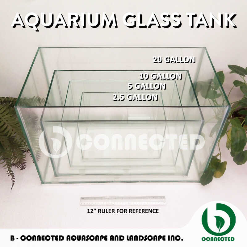 AKARIUM GLASS TANK 2.5 At 5 GALLON BIG B-Konektado ( Isda SHRIMP ...