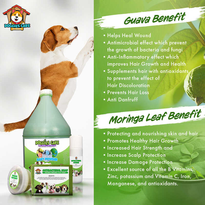 Madre De Cacao Ointment Cream 50G Kasama Ang Akapulko Para Sa ...