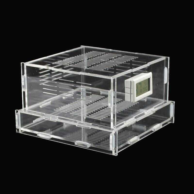 Bread Nine Dragon Larvae Fecal Separators Yellow Powder Ocean Bug ...