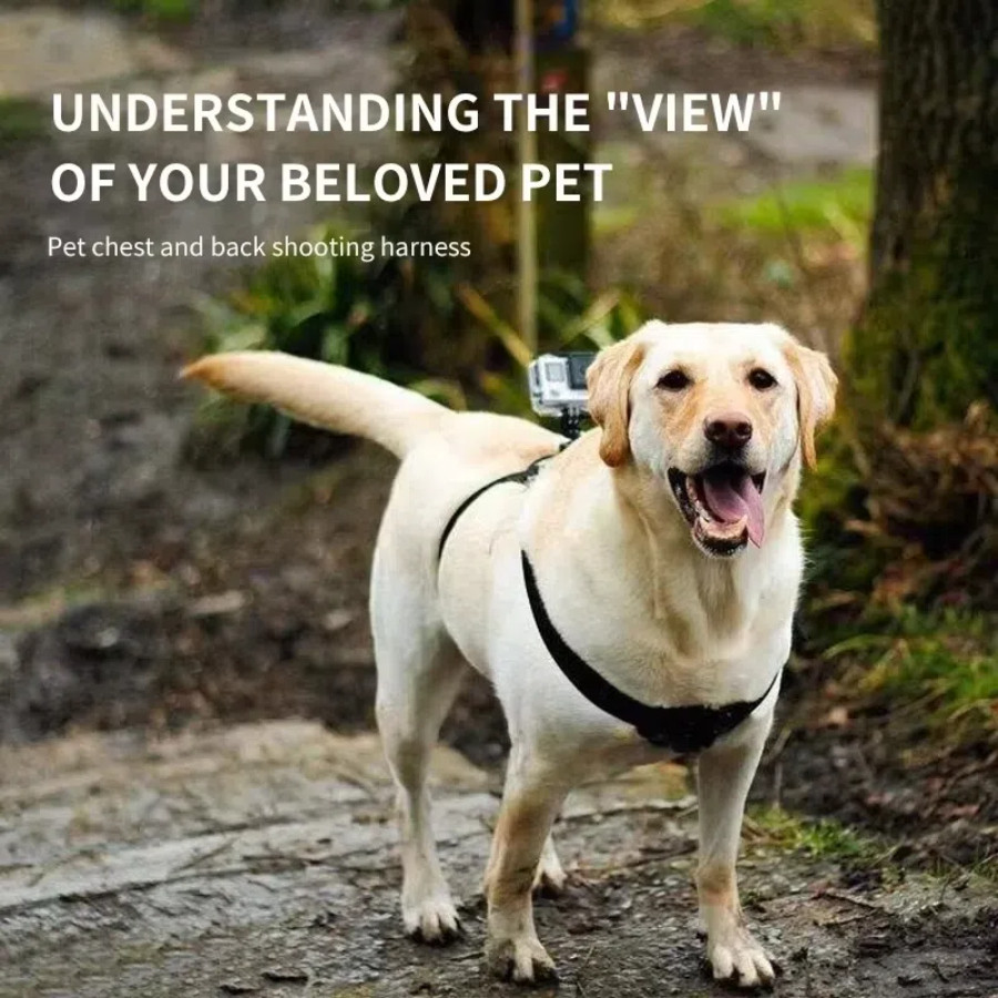 DJI Sports Camera Dog Harness Chest Strap Dual-position Dog Harness ...