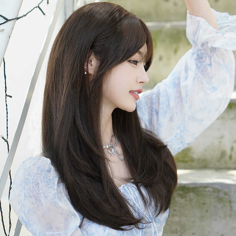 TSE Bagong Style Wig, Mahabang Buhok Ng Mga Kababaihan, Layered, Medium ...