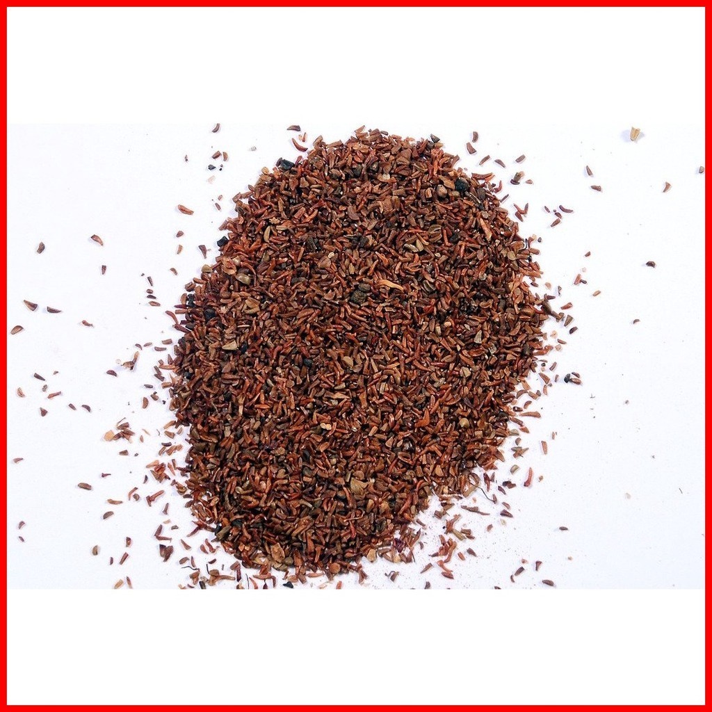 ๑ Eucalyptus Deglupa Rainbow Tree Seeds TR40 - 2 seeds of High ...