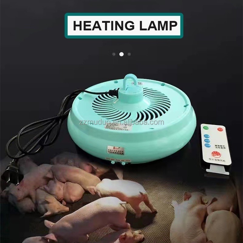 Poultry Chicken Brooder Animal Breeding Heater Hen Day Old Chicks ...