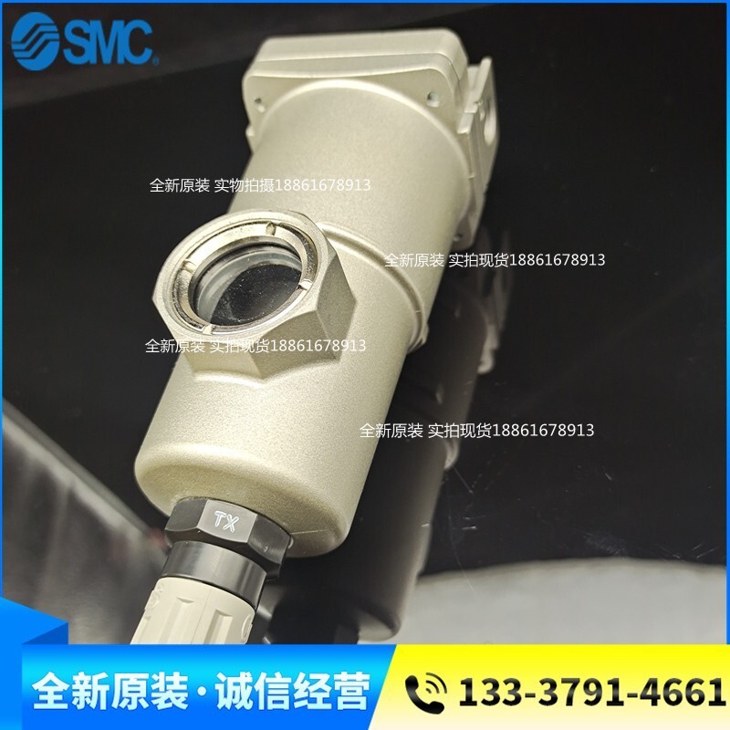 SMC filter AM AMG AMD AMH350C 150C 250C-01 02 03 04-R-T BD BC | Shopee ...