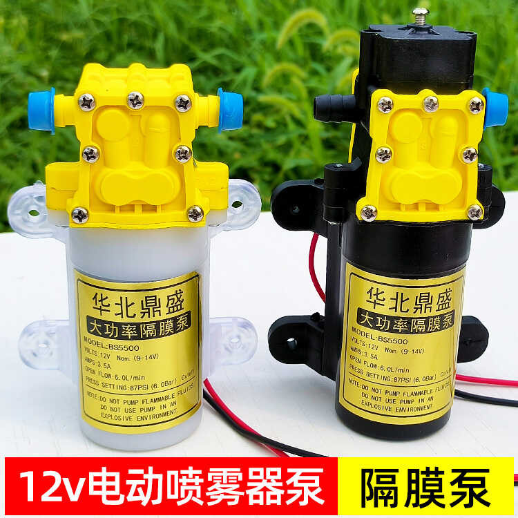 12v electric spray pump head DC electric dosing diaphragm pump small ...