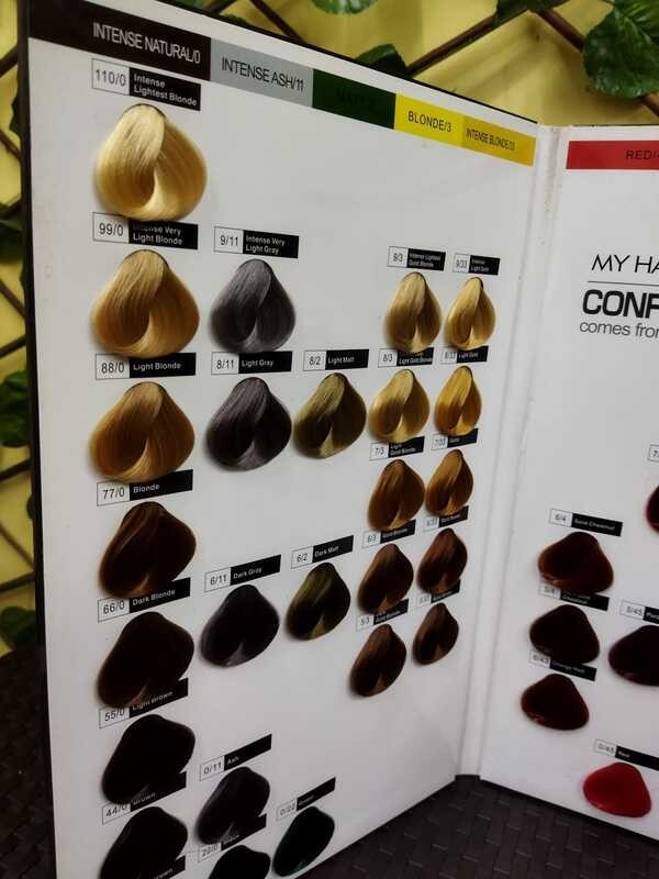 Performance Hair Coloring Chart Color Brochure Bremod | Shopee Philippines