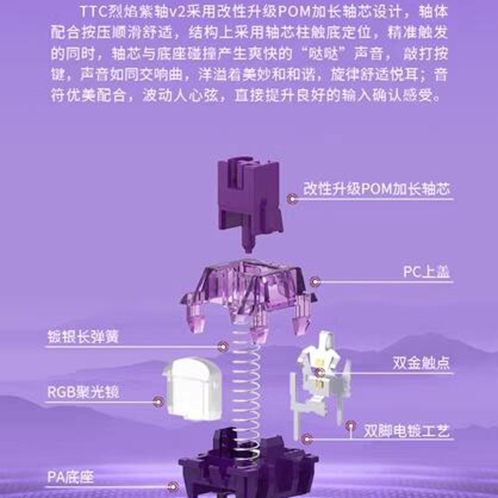 TTC Flame Purple Switch V2 42g 5 Pins 23mm Silver Spring Typing Office ...