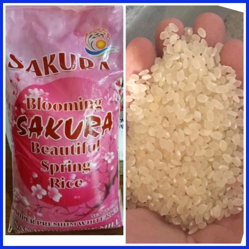 ☢ SAKURA JAPANESE RICE 25kg | Shopee Philippines