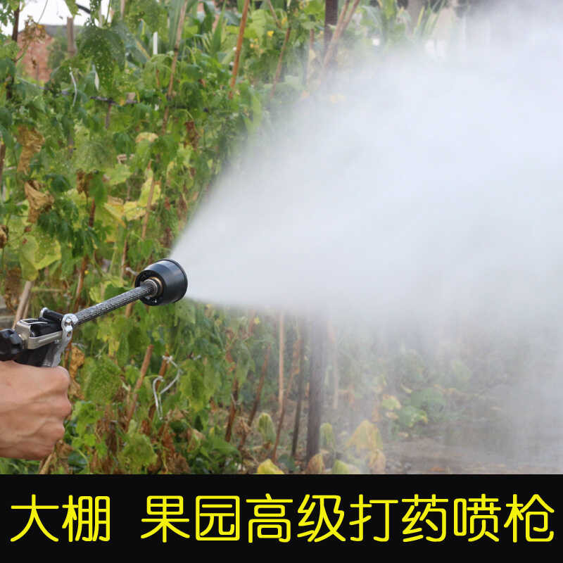 New Taiwan Aolin atomizing gun Agricultural motorized High pressure ...