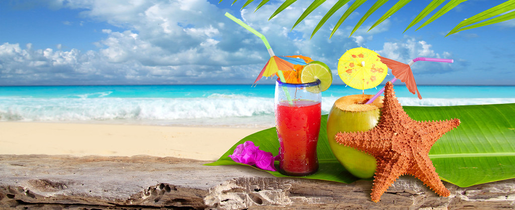 50pcs Umbrella Straws,Cocktail Drink Umbrellas Fancy Flower Bar Straws ...