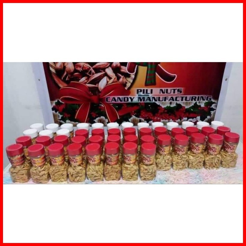 GARLIC FLAVOR PILI NUTS FROM BICOL (FDA LICENSED) | Shopee Philippines