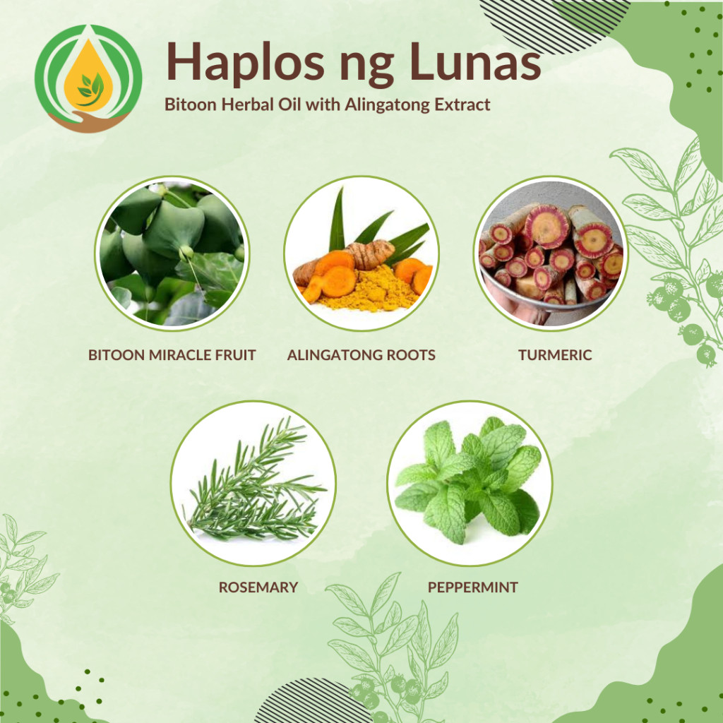 Haplos ng Lunas Bitoon Herbal Oil with Alingatong Extract Oil 50 ml ...