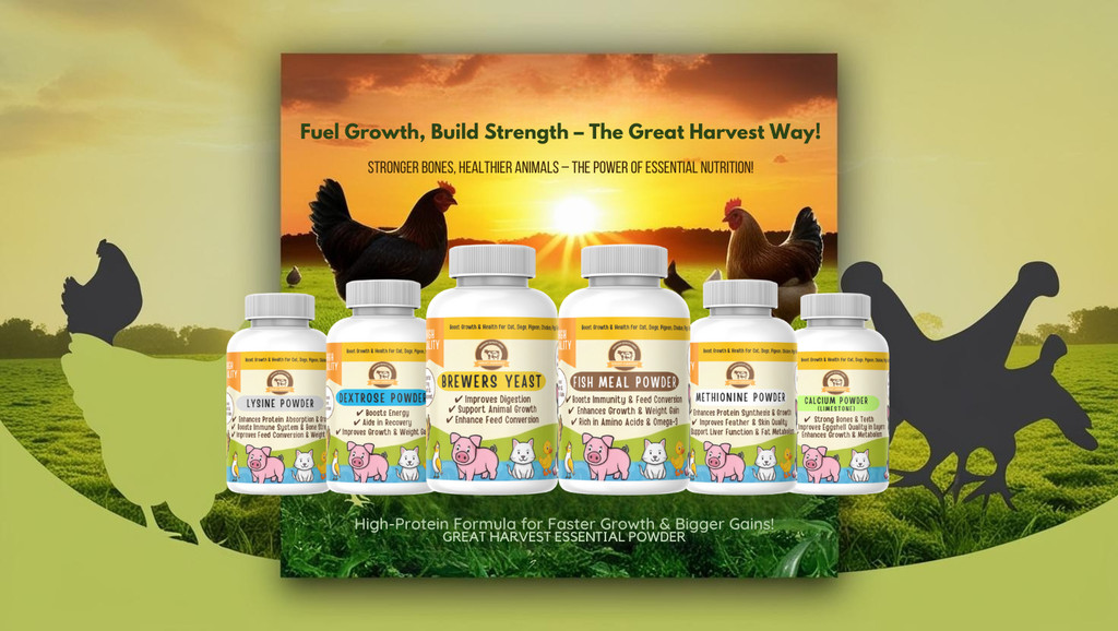 DL Methionine Powder 150g GREAT HARVEST Growth Essentials Pigeon Pig ...