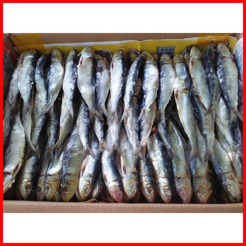 VACUUM SEALED TULOY - DRIED FISH fresh from Cebu 500grams (1/2 Kilo ...