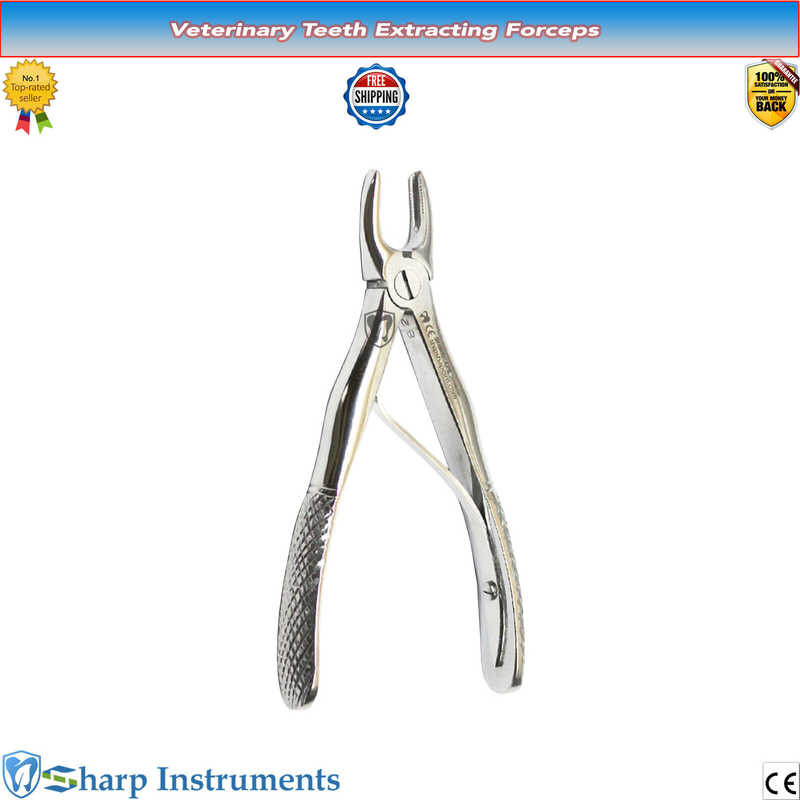 Veterinary Tooth Extracting Forceps Rodent, Dog Upper Incisors Surgical ...