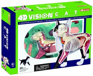 4D MASTER Animals Black And White Cat Orange Cat Organ Anatomy Assembly ...
