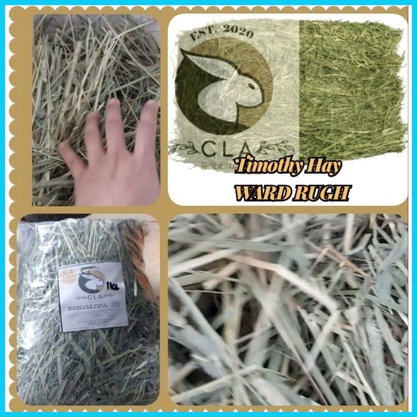 Premium Timothy Hay and Standard Timothy Hay in Resealable Plastic ...