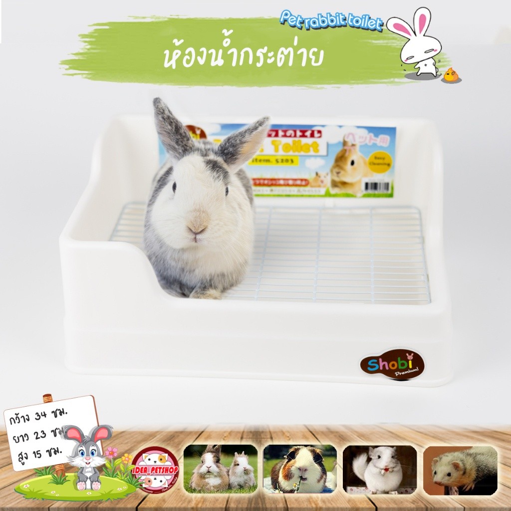 in stock rabbit toilet Minimalist Corner Removable Model shobi 5203 ...
