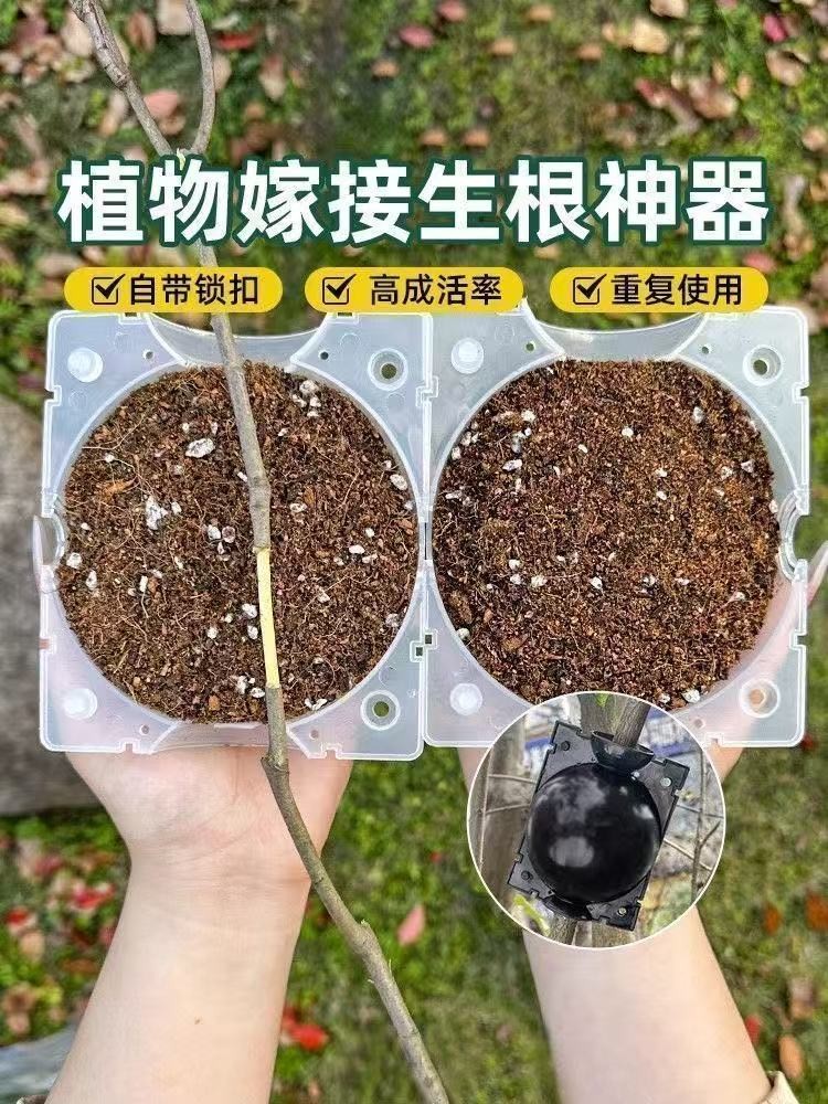 10Pcs pack Plant Rooting Ball For High Pressure Damage-Free Grafting ...