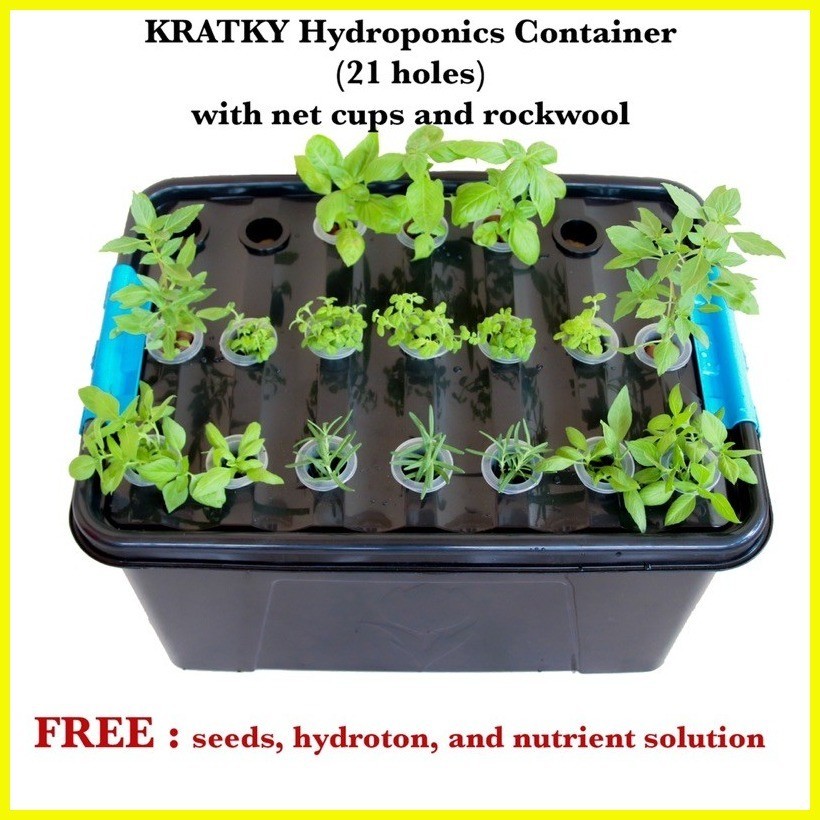 ๑ Kratky Hydroponics Container with Growing Kit (40L) | Shopee Philippines