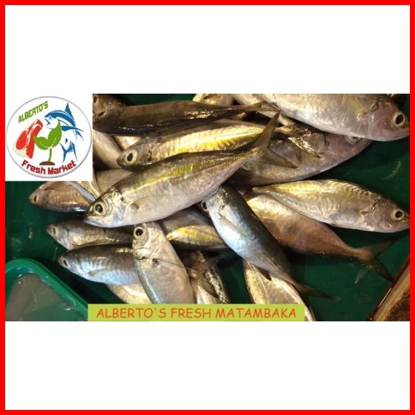 FRESH SEAFOODS MATAMBAKA 500g | Shopee Philippines