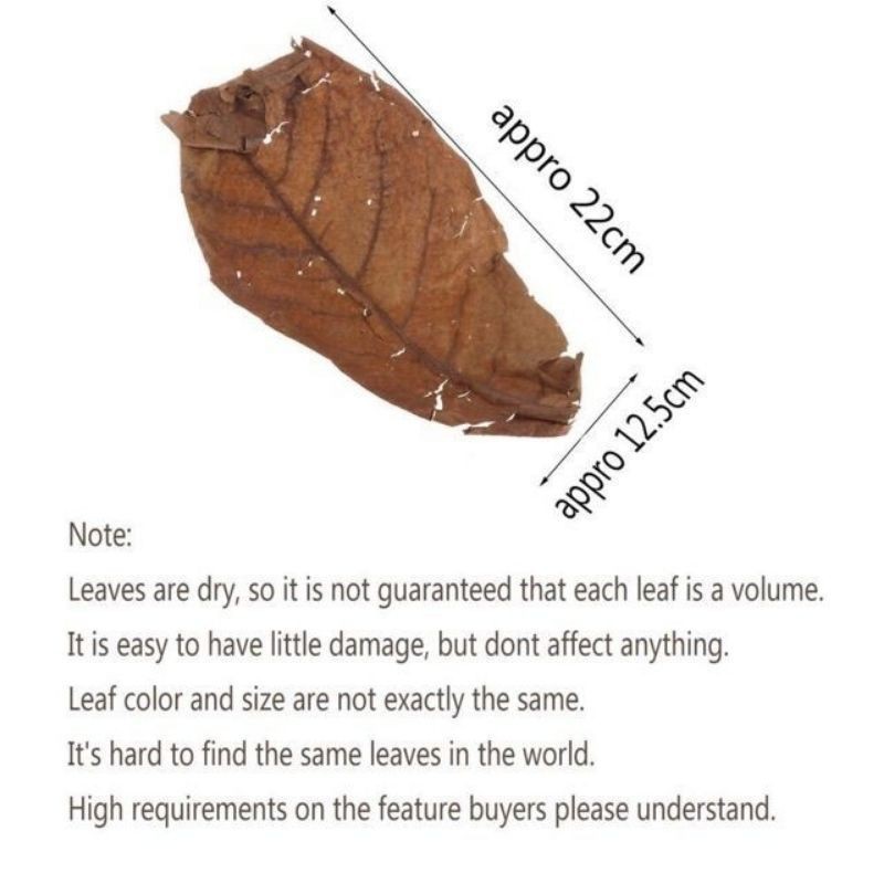 ๑ ∇ Sun Dried Talisay Leaves ( 10 pcs) | Shopee Philippines