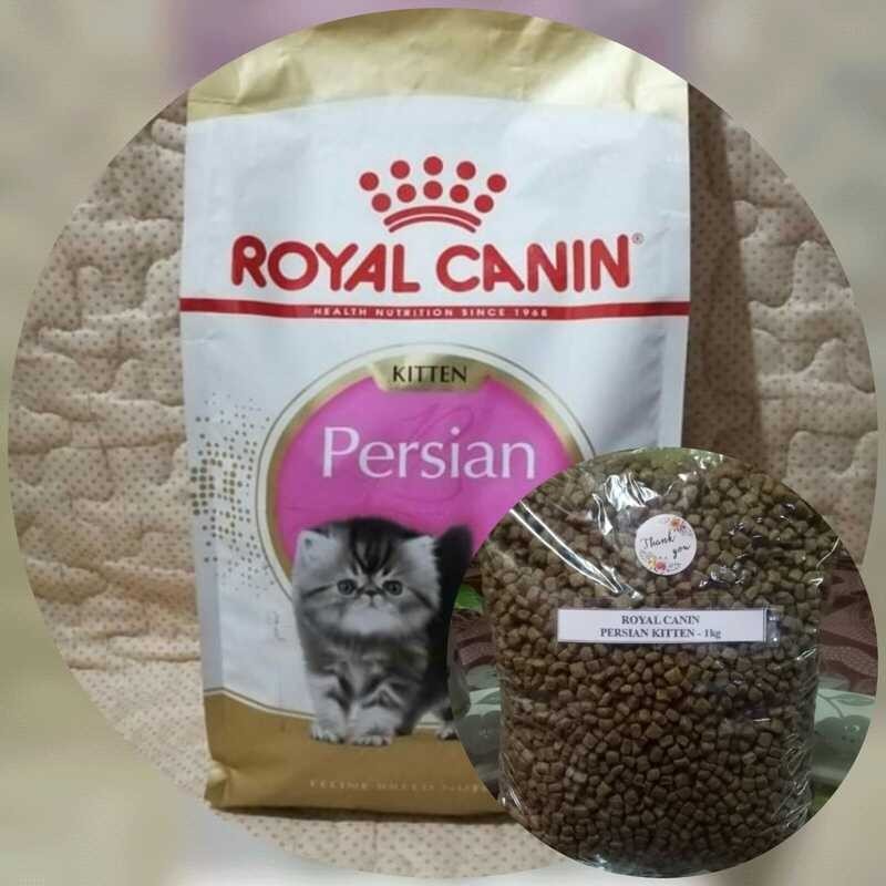 Royal Canin - Persian Kitten (500g/1kg repacked) | Shopee Philippines
