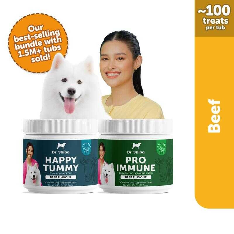 Dr Shiba Pro Immune & Happy Tummy Healthy Dog Treats | Essentials ...