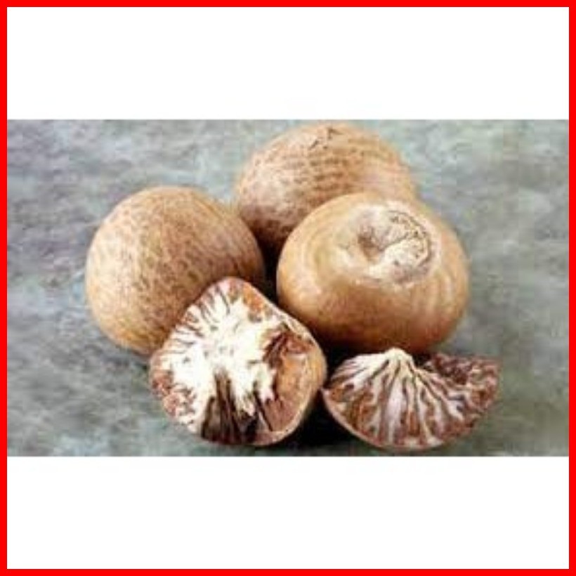 ☃ ☾ Restohub Xclusives Areca Nuts / Betel Nuts/ Whole Supari Small from ...
