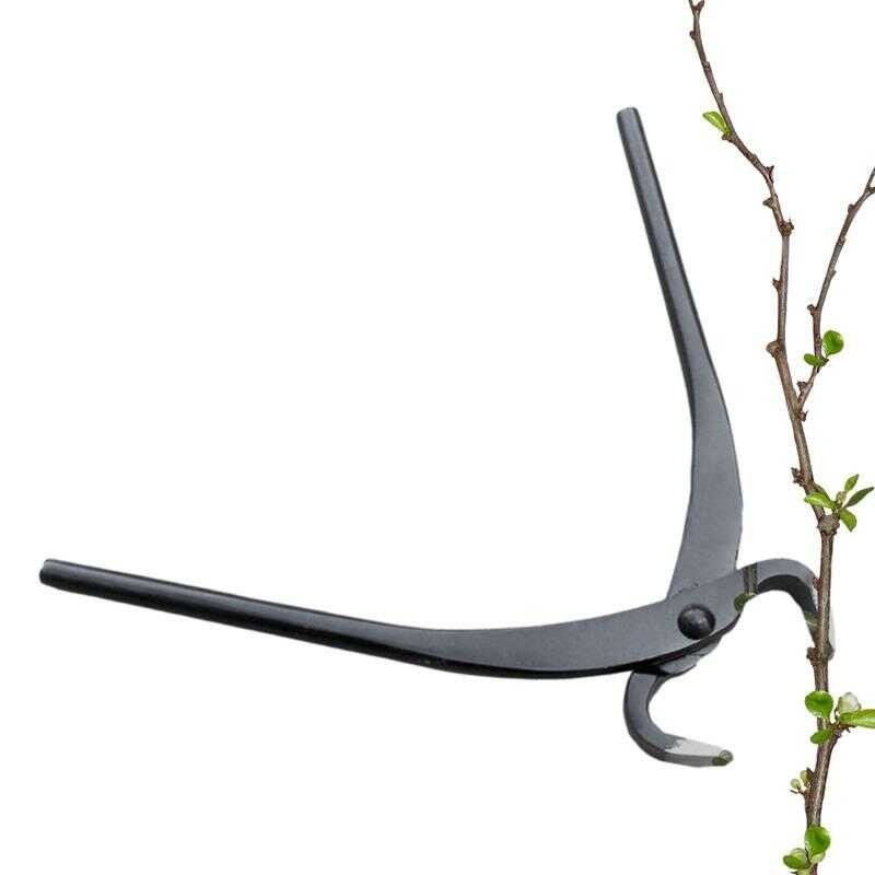 Edge Knob Concave Cutter Root Cutting Pliers Ball Shear Scissors ...