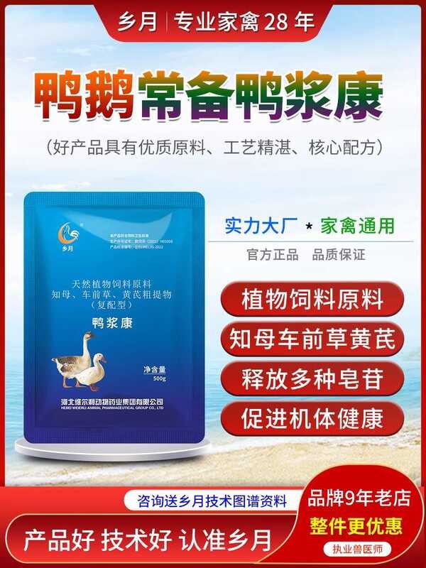A Comprehensive Guide Using Xiangyue Syrup, Kang Goose, Duck ...