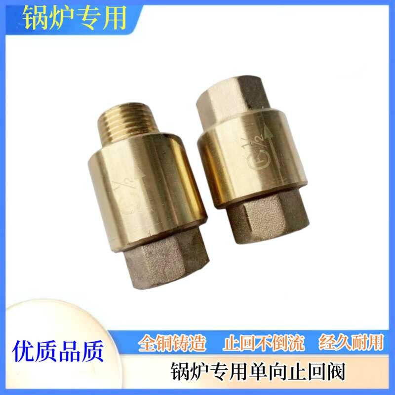 Boiler reverse steam generator, pump, water meter, spring valve, 4 ...