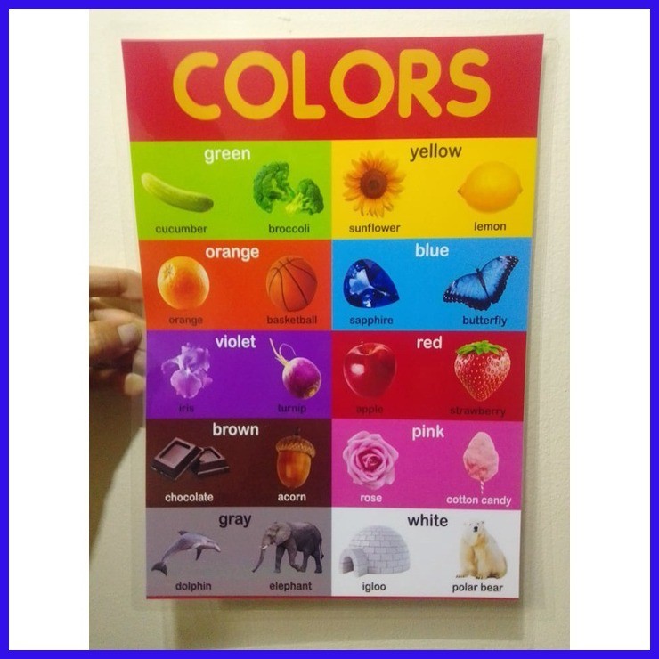 KIDS PRESCHOOL LEARNING ALPHABET COLOR SHAPE NUMBERS CHARTS | Shopee ...