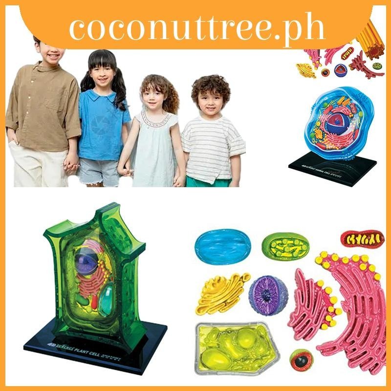 Microscopic Biology Teach With 4d Master Animal And Plant Cell Plastic ...