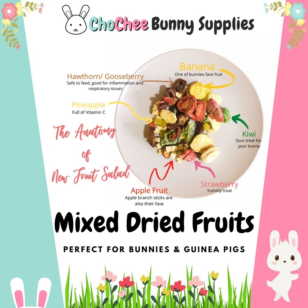 Dried Fruit Salad- Treats for Rabbits, Guineas, Hamsters &other pet 100 ...