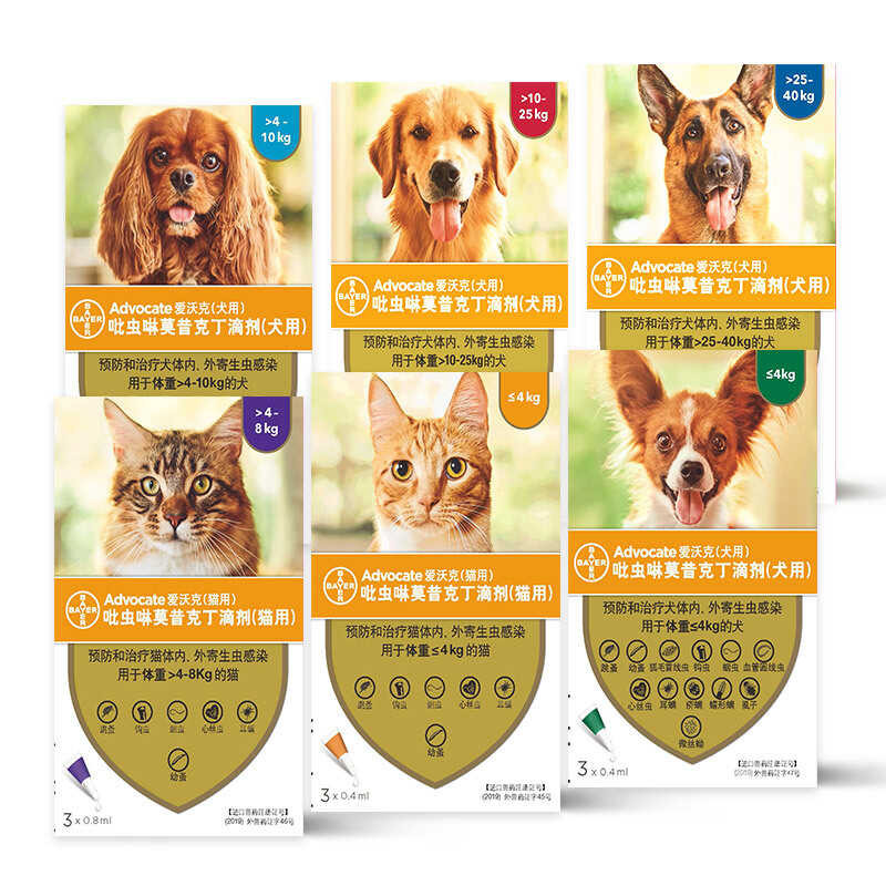 Bayer Aiwoke Cat And Dog Deworming Medicine In Vitro And In Vivo ...