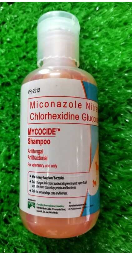 Mycocide Shampoo (Anti-fungal [UNK] Antibacterial) para sa aso, pusa ...