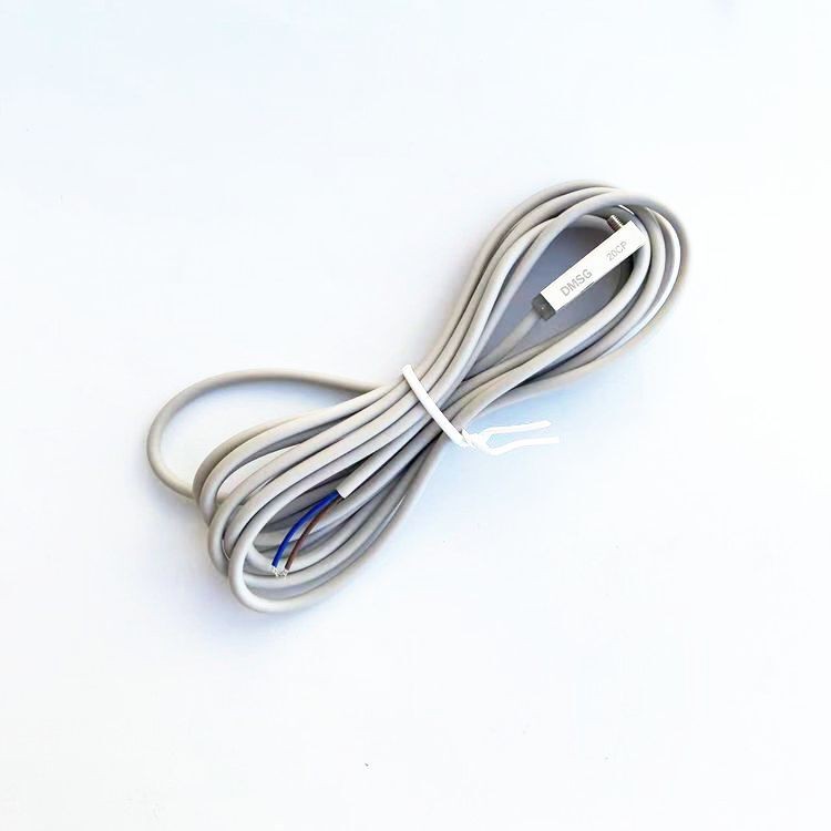 DMSG sensor magnetic switch cylinder sensor two-wire magnetic sensor D ...