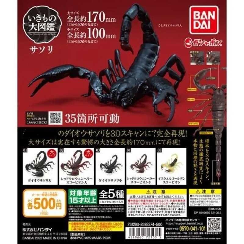 Gashapon BANDAI Japan Cute Biology Map Giant Scorpion Insect Model ...
