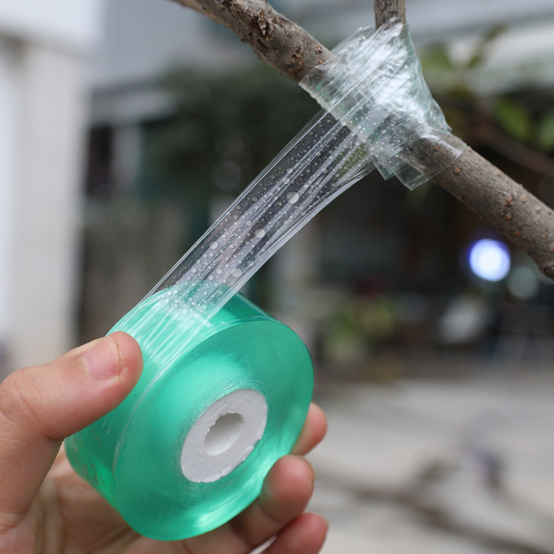 High Elastic PE Tape - Fruit Seedlings Nursing Film - Horticultural ...
