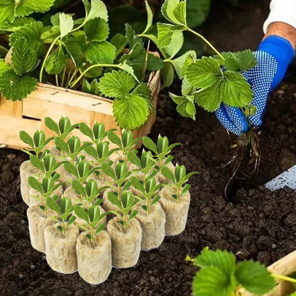 Planting Sponge Rock Wool Starter Plugs Hydroponic Grow Media Round ...