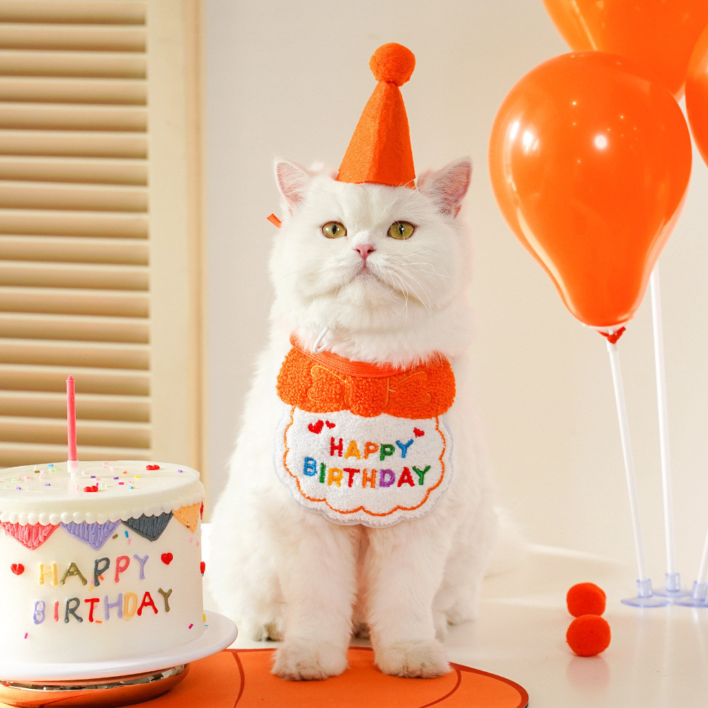 Ins Dog Cat Birthday Party Hat Cute Pet Birthday Party Dress Up Pet ...